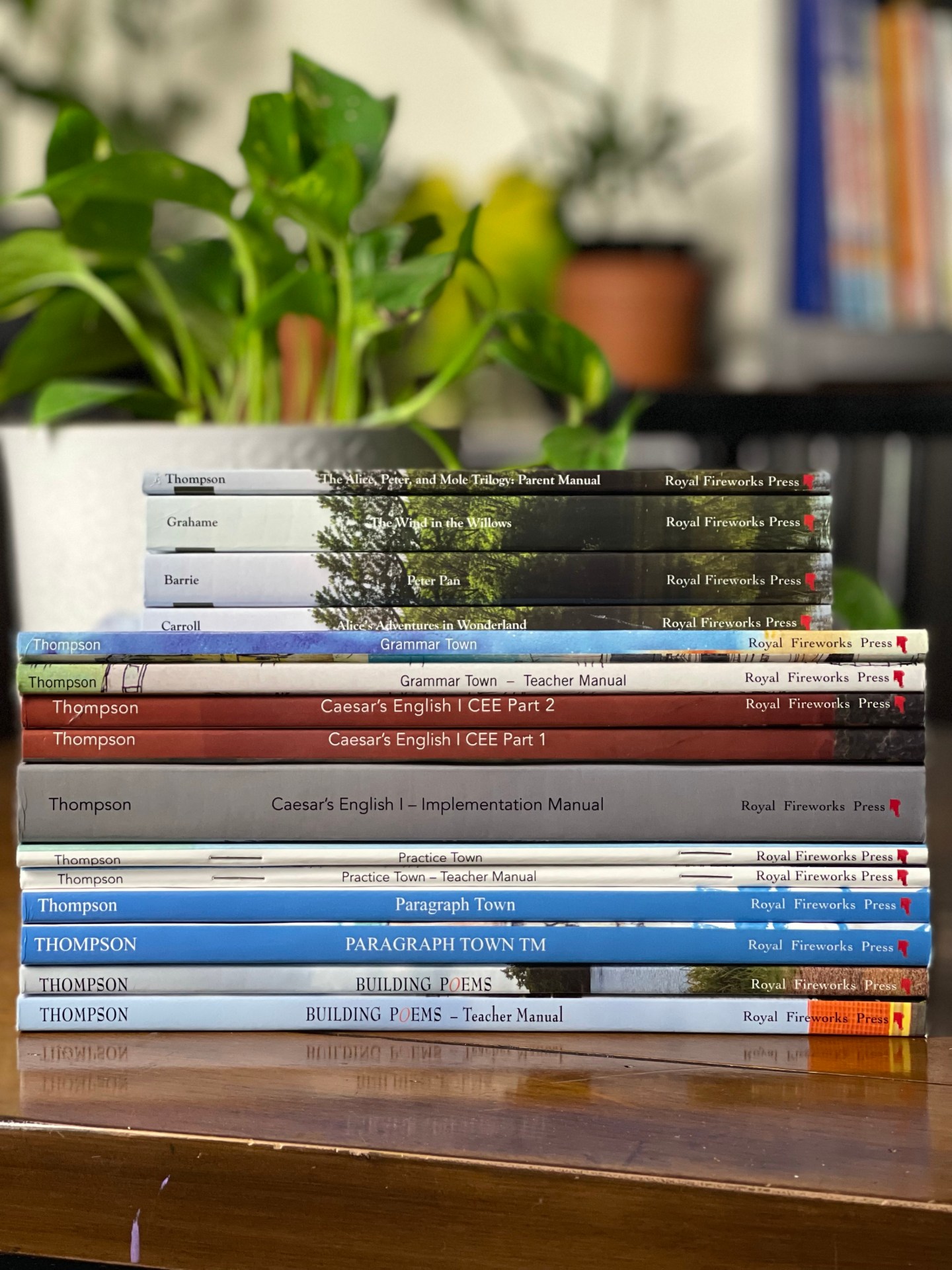 Michael Clay Thompson Language Arts: Level 2 Grammar Town Review ...