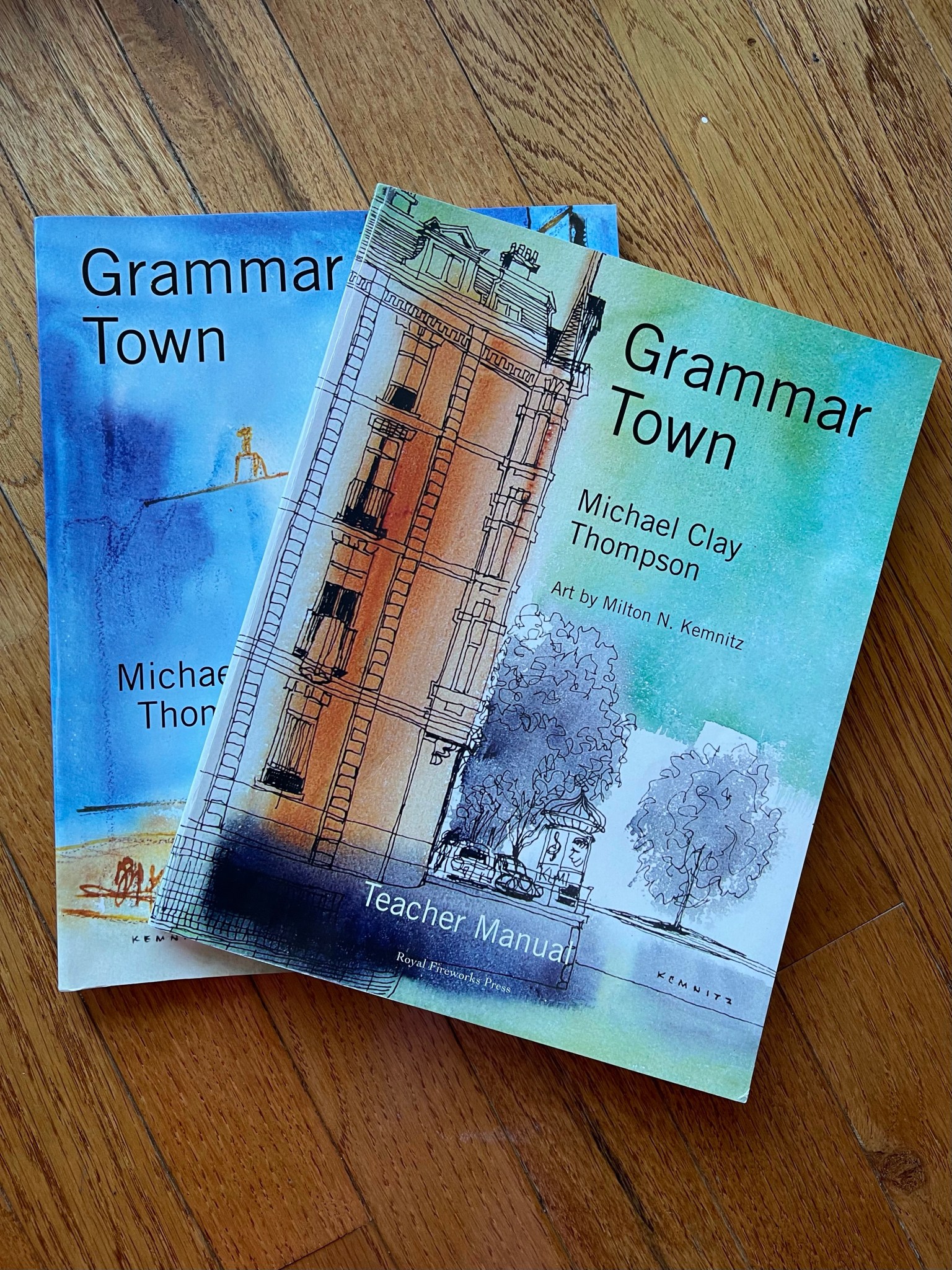 Michael Clay Thompson Language Arts: Level 2 Grammar Town Review ...