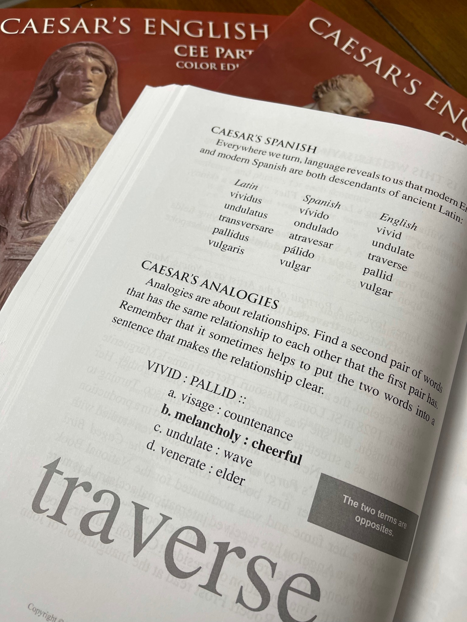 Michael Clay Thompson Language Arts: Level 2 Grammar Town Review ...