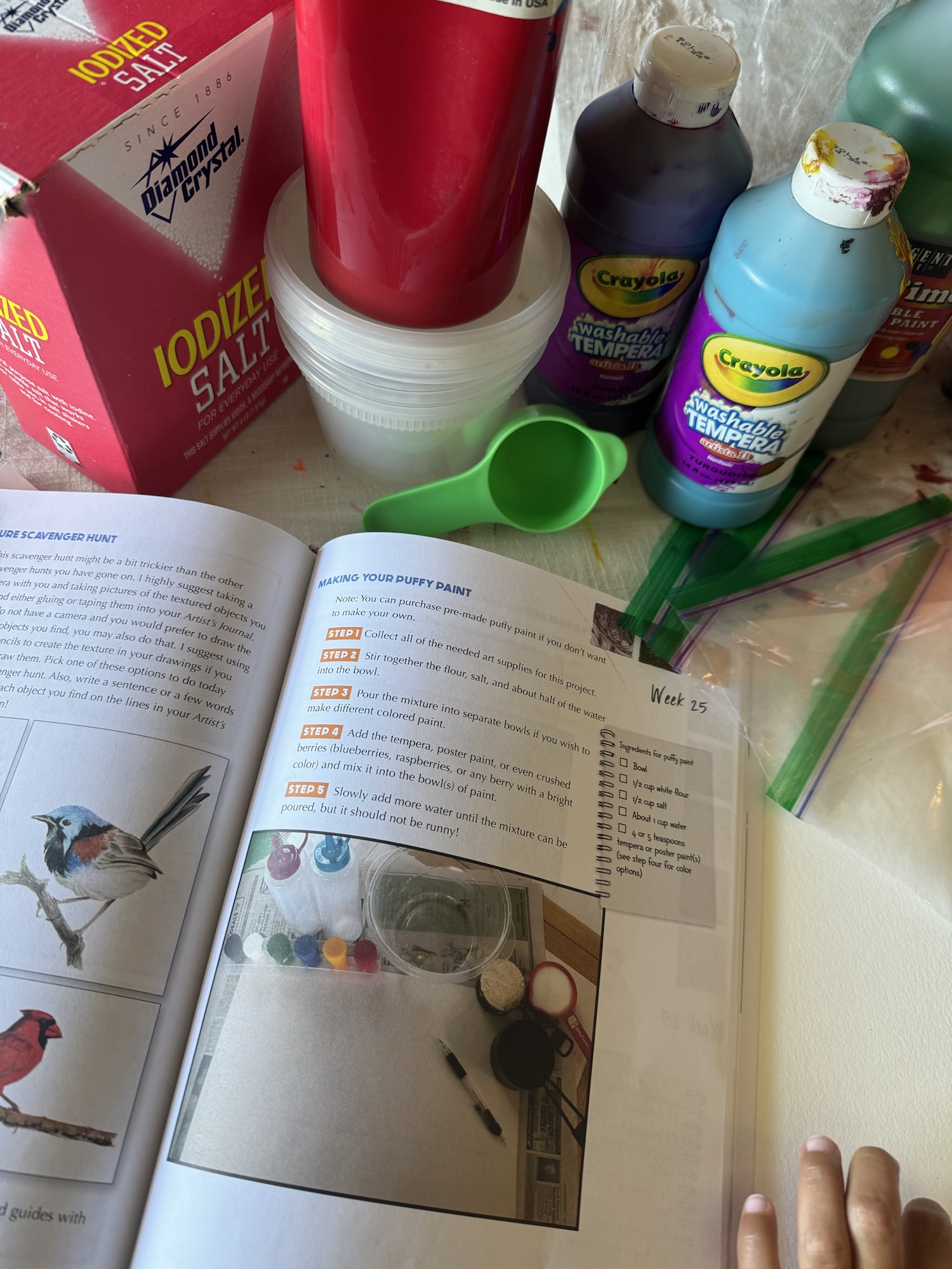 Living Art Lessons with Master Books – Homelife with Us